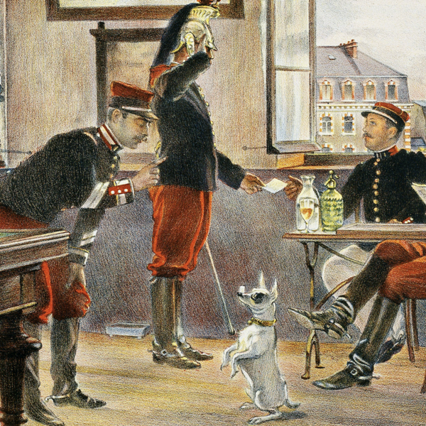 Les chiens et l’Armée au fil des époques - Musée de l'Armée